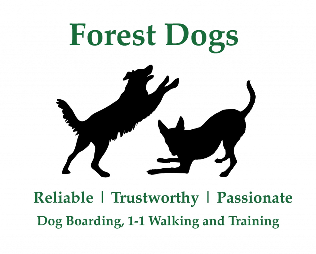 Dog Training – Forest Dogs